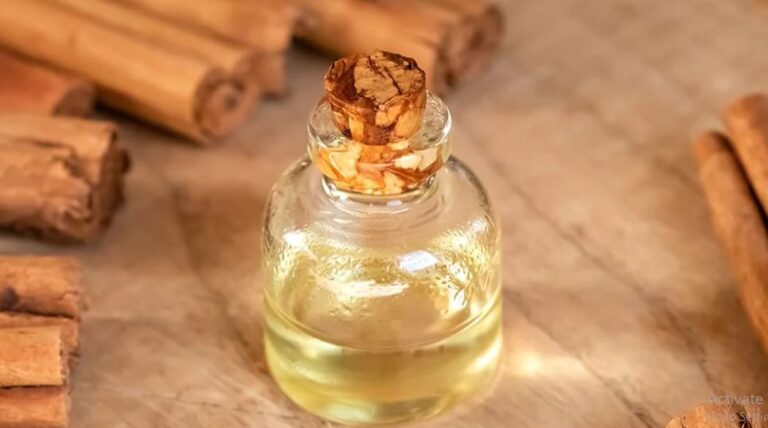 Cinnamon Perfume: Redefining Feminine Elegance